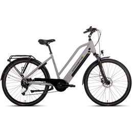 E-Bike SAXONETTE "Deluxe Sport Lady" E-Bikes Gr. 50 cm, 28 Zoll (71,12 cm), silberfarben (silberfarben matt) E-Bikes