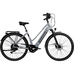 Zündapp E-Bike ZÜNDAPP "X400" E-Bikes Gr. 48 cm, 28 Zoll (71,12 cm), silberfarben (silber) E-Bikes