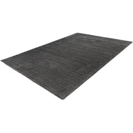 Teppich Arte Espina "Nila 100" Teppiche Gr. B/L: 200 cm x 290 cm, 20 mm, 1 St., grau (anthrazit) Esszimmerteppiche