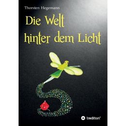 tredition Die Welt hinter dem Licht - Thorsten Hegemann, Kartoniert (TB)