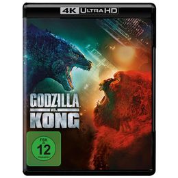 WARNER BROS ENTERTAINMENT Godzilla vs. Kong