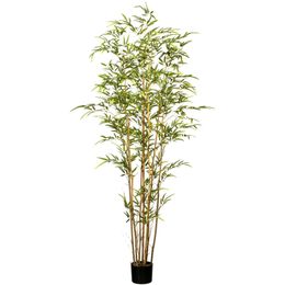 Kunstbaum Creativ green "Bambus" Kunstpflanzen Gr. H: 180 cm, 1 St., grün Kunst-Bäume