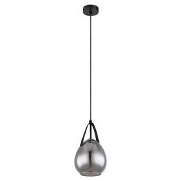 Pendellampe Hängeleuchte Esszimmerlampe, Moderne Pendelleuchte, Lampenschirm in Rauchglas Optik, Metall, schwarz, matt, 1x E27 Fassung, DxH 15x120 cm