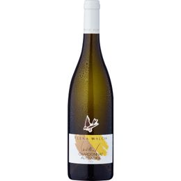 Elena Walch WirWinzer Select Eltville 2022 Chardonnay Cardellino Alto Adige DOC trocken