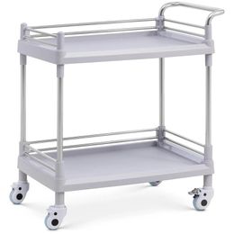 STEINBERG SYSTEMS Laborwagen - 2 Ablagen je 65 x 47 x 5 cm - 40 kg SBS-LF-109