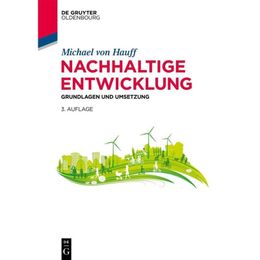 De Gruyter Nachhaltige Entwicklung - Michael Hauff, Kartoniert (TB)