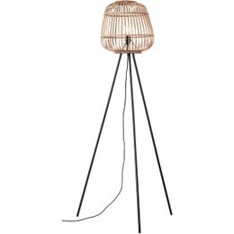 Stehlampe Home Affaire "Grazay" Lampen Gr. 1 flammig, Ø 76,00 cm Höhe: 155,00 cm, schwarz (natur, schwarz) Standleuchten