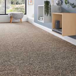 ANDIAMO Teppichboden "Schlinge Matz" Teppiche meliert, Breite 400 cm oder 500 cm, strapazierfähig & pflegeleicht Gr. B/L: 400 cm x 1000 cm, 6 mm, 1 St., braun (braun, schwarz) Teppichboden