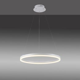 Pendelleuchte Paul Neuhaus "TITUS" Lampen Gr. 1 flammig, Ø 60 cm, weiß LED Hängeleuchten und Pendelleuchten