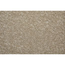 ANDIAMO Teppichboden "Velours Portland" Teppiche Gr. B/L: 400 cm x 1400 cm, 11 mm, 1 St., beige Teppichboden