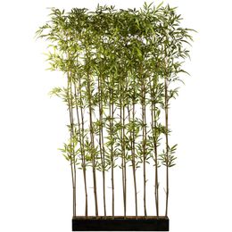 Künstliche Zimmerpflanze Creativ green "Bambusraumteiler" Kunstpflanzen Gr. H: 200 cm, 1 St., grün Künstliche Zimmerpflanzen