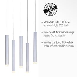 Pendelleuchte JUST LIGHT "BRUNO" Lampen Gr. 10 flammig, Höhe: 120 cm, grau (aluminiumfarben) LED Hängeleuchten und Pendelleuchten