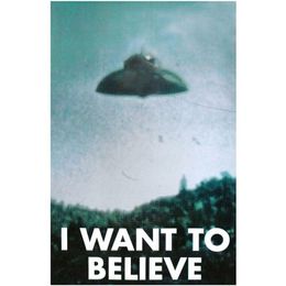 Close Up Ufo Poster i Want To Believe