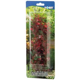 HOBBY - Ludwigia, 25 cm - Kunststoffpflanze für Aquarien