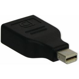 DisplayPort-Adapter, DisplayPort/Mini-DP, schwarz