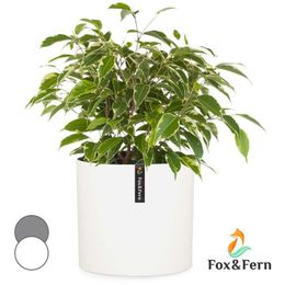 Fox&fern - Venlo Blumentopf Polystone in- und outdoor 3 Größen - Weiß, matt