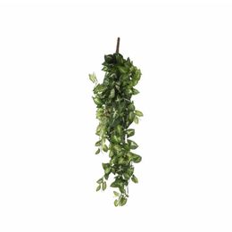 Mica Decorations - Mica künstliche Fittonia hängend grün 80 x 30 x 15 cm Kunstpflanzen