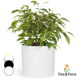 Fox&fern - Pflanztopf Übertopf Faserstein In/Outdoor - Weiß, glänzend