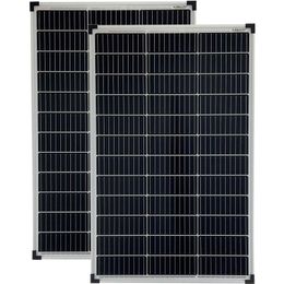 Solartronics - 2x100 Watt Mono Solarmodule 10 Busbars 210mm Zellformat Solarpanele
