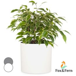 Fox&fern - Pflanztopf Übertopf Faserstein In/Outdoor - Weiß, matt