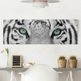 MICASIA - Leinwandbild Schwarz-Weiß - Weißer Tiger - Panoramabild Quer Größe HxB: 30cm x 90cm