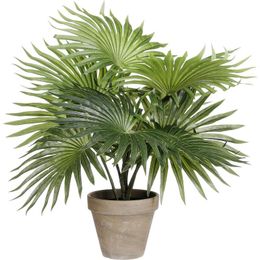 Mica Decorations Mica Kunstpflanze Palme grün im Topf 40 cm Eingetopft