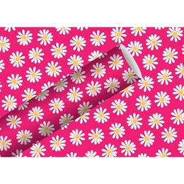 Braun & Company Geschenkpapier Kollektion Dancing Daisies pink 2 m x 70 cm
