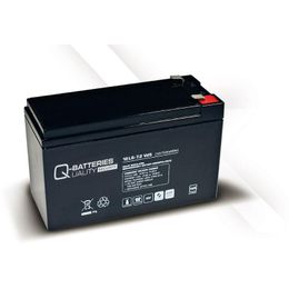 Quality Batteries - Ersatzakku für apc Back-UPS es BE700-GR RBC17 rbc 17 / Markenakku mit VdS