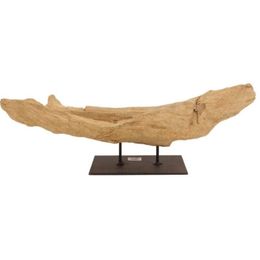Aquaristikwelt24 - AquaOne Holz Deko Skulptur Rom Nr.5004
