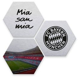 FC Bayern München Hexagon Alu-Dibond Poster Fußball Logo 3er Set Fc Bayern München Wandbild Vintage Silber Metalloptik 25x22cm - silber
