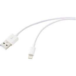 USB-Kabel usb 2.0 usb-a Stecker, Apple Lightning Stecker 3.00 m Weiß (frosted) RF-5724088 - Renkforce