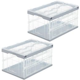 Relaxdays 2 x Profi Transportbox, stabil, Gewerbe, hochwertiger Kunststoff, Qualität, 60L, Faltbox hbt 31,5 x 59,5 x 39,5 cm, grau