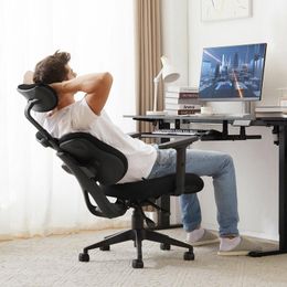 WOLTU Bürostuhl Ergonomisch Computerstuhl Schreibtischstuhl mit geteilter Rückenlehne Drehstuhl aus Mesh verstellbare Kopfstütze Armlehnen Liegefunktion