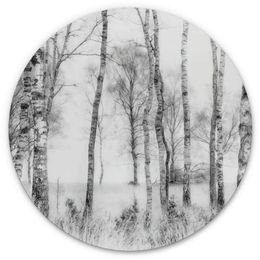 K&L WALL ART Alu-Dibond-Poster Rund Metalloptik Wandbild Birkenwald schwarz-weiß Wald Bäume Deko Talen ø 30cm - weiß