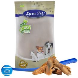 LYRA PET - 5 kg ® Rinderkopfhaut goldbraun, dunkel + Ballschleuder