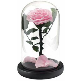 Northix - Große Rose im Glasglocke - Rosa