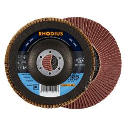 Rhodius Abrasives - rhodius lsa F1, 10 Stück, 125 mm, Korn 80, Fächerscheibe