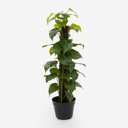 TK Maxx Grüne künstliche Pflanze im Topf 62cm