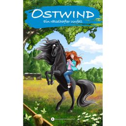cbj Ein rätselhafter Unfall / Ostwind Abenteuerreihe Bd.1 - Rosa Schwarz, Taschenbuch