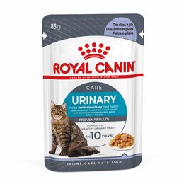Royal Canin FCN Urinary Care Jelly 48x85g