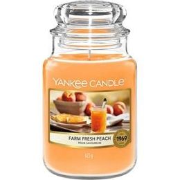 yankee candle Raumdüfte Duftkerzen Farm Fresh Peach Classic Medium Glass