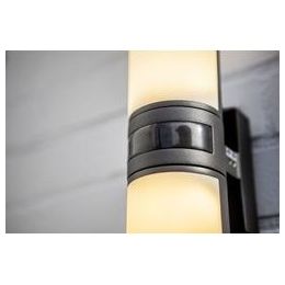 ECO-Light Lutec LED Außenwandleuchte Cyra anthrazit/weiß mit Senor Up- & Downlight