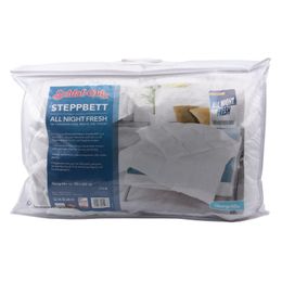 Steppdecke Steppbett Bettdecke 155x220 ALL night fresh allergiker geeignet
