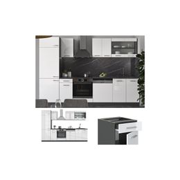 VICCO K&Uuml;CHE R-LINE 300 CM K&Uuml;CHENZEILE K&Uuml;CHENBLOCK EINBAUK&Uuml;CHE ANTHRAZIT WEISS HOCHGLANZ