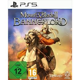 Koch Media Mount & Blade 2: Bannerlord
