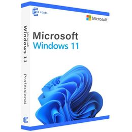 Microsoft Windows 11 Professional