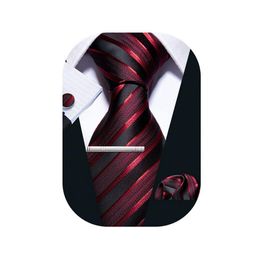 AquaBreeze Krawatte Herren Seiden-Geschäftskrawatten (1-St.