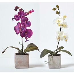 Homescapes - Künstliche Orchideen – lila & weiß im 2er-Set – in dekorativen Viereck-Töpfen, 40 cm - Weiß & Lila