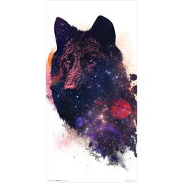 Close Up - Wolf Universe Kunstdruck Robert Farkas