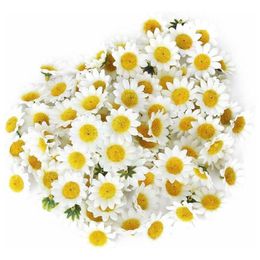 100 x realistische künstliche Kunststoff-Sonnenblumenköpfe, Requisiten für Heim- und Partydekoration, (weiß) - Minkurow